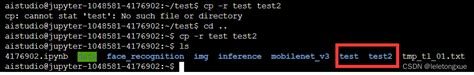 Linux基础默认是用户的家里面目录的是 Csdn博客