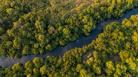 Ecosystem Based Adaptation E Learning Course International Institute For Sustainable Development