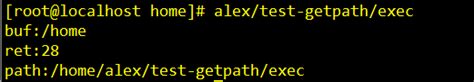 c c 获取可执行程序的绝对路径 linux、windows include csdn博客