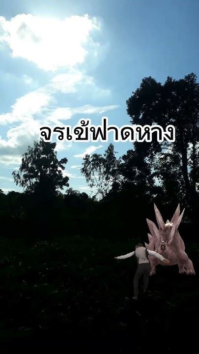 จรเข้ฟาดหาง Youtube