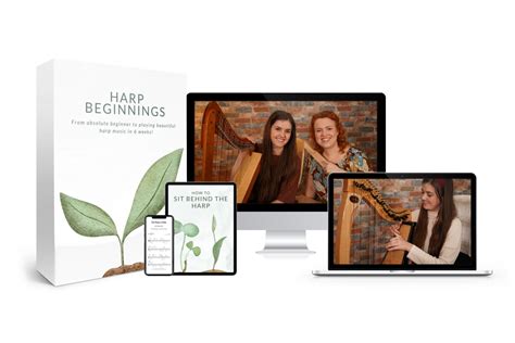 Beat Beginner Frustrations Replay Learning The Harp