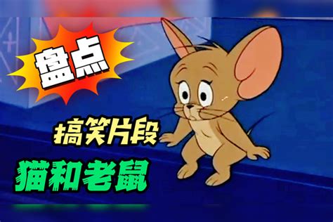 猫和老鼠汤姆被开水烫到还不忘抓走杰瑞盘点搞笑片段 杰瑞 汤姆 盘点