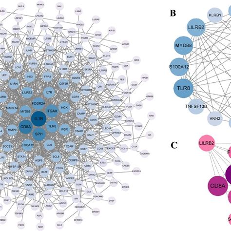 Network Construction And Module Analysis A Construction Of A