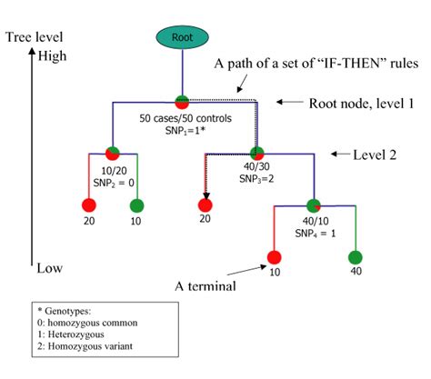 Overview Of A Decision Tree A Binary Tree Starts From The Root Node