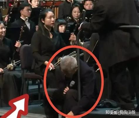 夹头老仙赞 知乎