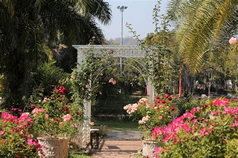 เที่ยวได้ทั้งปี ชมไม้ดอกเมืองหนาวหลากสีและสนุกกับกิจกรรมดีๆ ตลอดช่วงเดือนกุมภาพันธ์ 2566 กับ