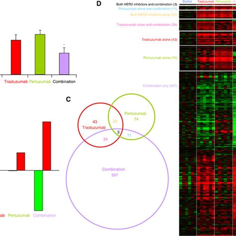 Common And Differential Molecular Responses To Trastuzumab And