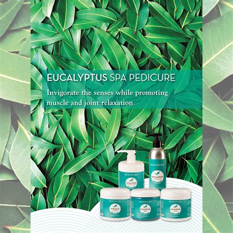 Eucalyptus Massage Oil 8oz Bodipure Professional Spa