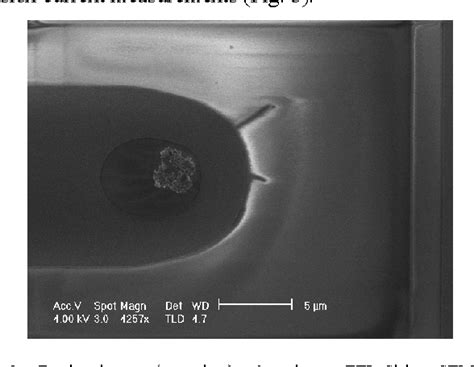 Figure 1 From Field Electron Emission From Single Walled Carbon Nanotubes Lying On A Surface