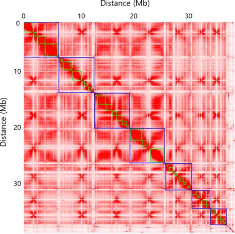 Chromosome Level Genome Assembly Of Trichoderma Cornu Damae Using Hi C Data Pmc