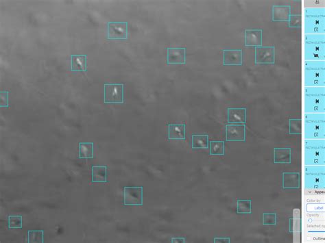 Annotation Bounding Boxes Polygons Tagging And Segmentation Upwork