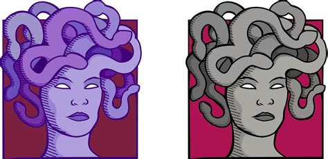 Definici N De Medusa