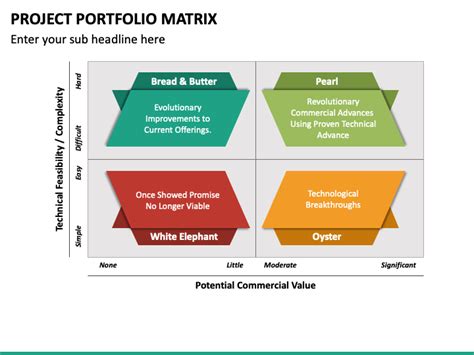 Project Portfolio Matrix PowerPoint And Google Slides Template Project Management Templates