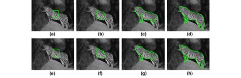Segmentation Using Varying Kernel Width A E The Initialization Download Scientific Diagram