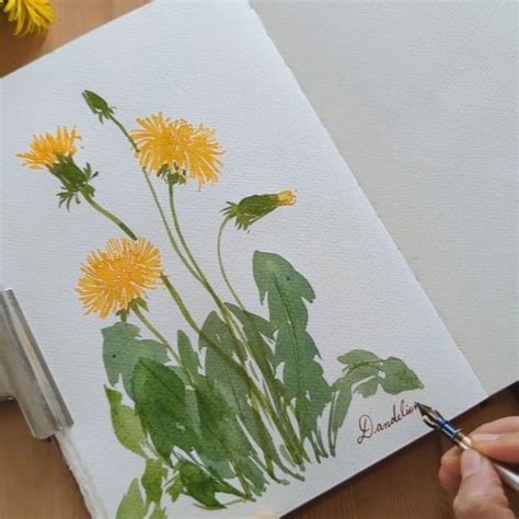 Sushma Hegde On Instagram You Asked For A Beginner Watercolor