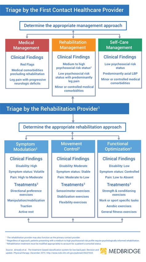 Low Back Pain Best Treatment Approach To The Latest Epidemic MedBridge