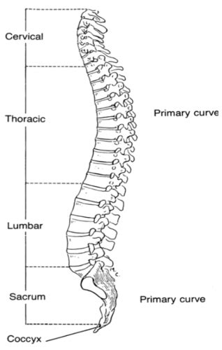 Module 6 Flashcards Quizlet
