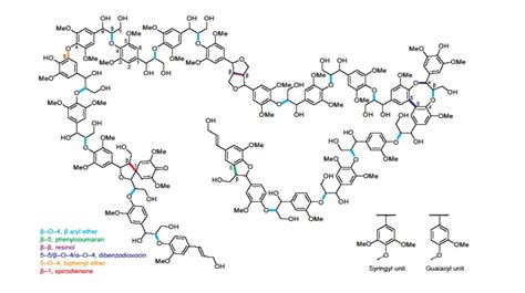 Review On Lignin Isolation And Depolymerization Epfl
