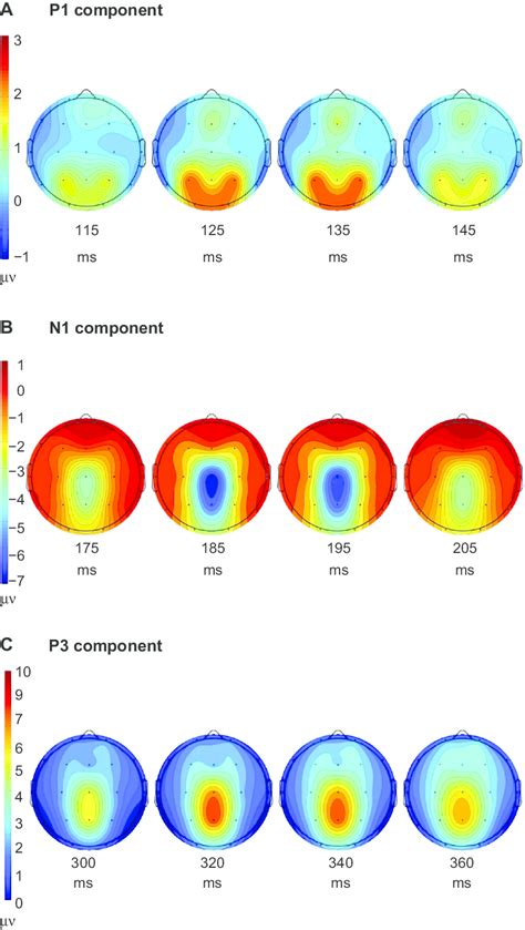 The Scalp Topography At The Peak Of Three Components Notes A More