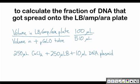 Transformation Efficiency