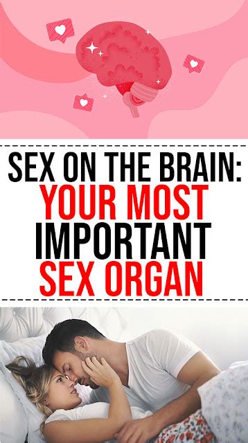 Sex On The Brain Your Most Important Sex Organ Healthy Lifestyle