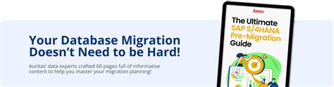 Avoid Common Data Migration Issues Prepare For Migration
