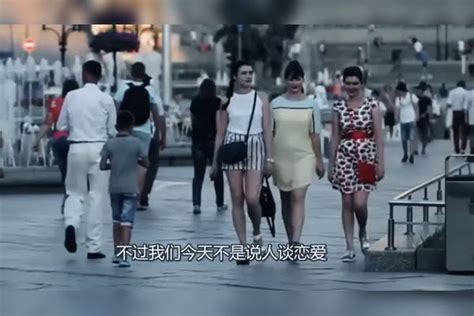 公马一见钟情母马表现很顺从动物之间的爱情令人羡慕