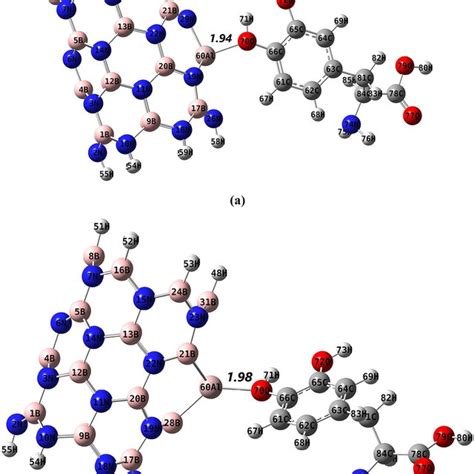 Computed Electrostatic Potentials On The Molecular Surfaces Of The