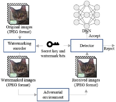 Figure 1 From A Watermarking Based Framework For Protecting Deep Image Classifiers Against