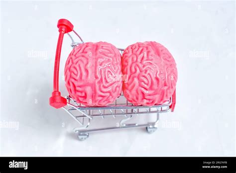 Top View Of Two Pink Jelly Like Human Brain Models Placed In A Tiny