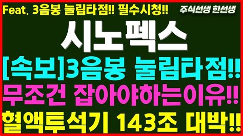 시노펙스 속보3음봉눌림타점 정부정책 국책과제 성공 혈액투석기 143조시장 무조건 잡아야하는 이유는 대응전략은 시노펙스 시노펙스주가 시노펙스주가전망