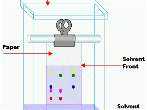 Paper Chromatography Diagram