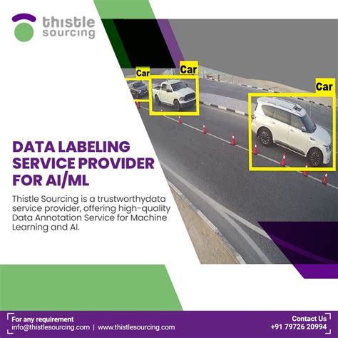thistle sourcing pvt ltd on linkedin datalabeling computervision ml ai imageannotation