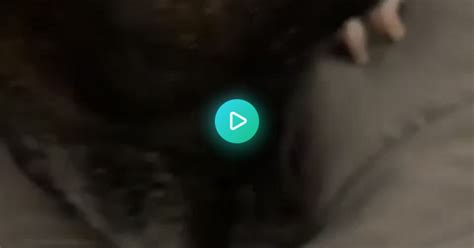 My Favorite Sound In The Whole World Album On Imgur