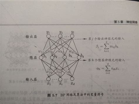 【ai入门】c构建bp神经网络，并实现手写数字识别 Vv123 博客园