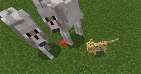 Черепаха в Minecraft