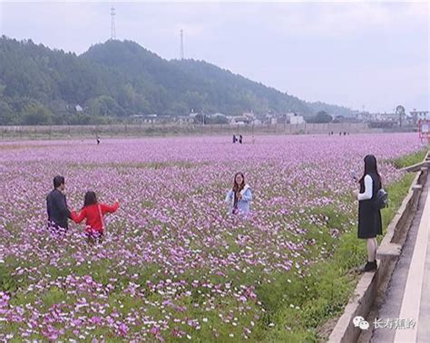 蕉岭三圳九岭村这么美村民这么富的真相