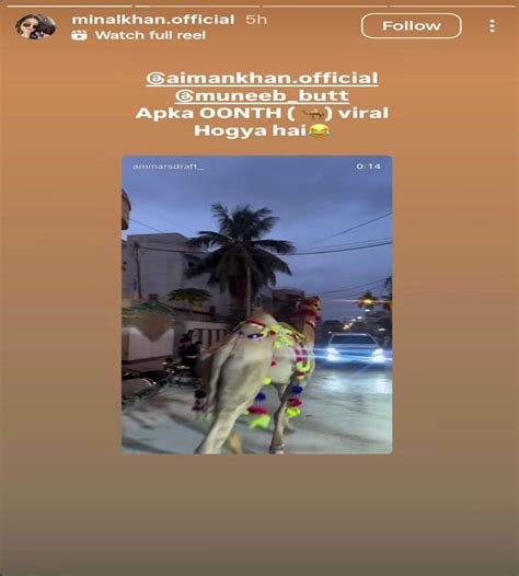 اداکار منیب بٹ کا اونٹ بھاگ گیا