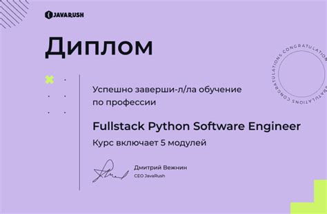 Python разработчик с нуля онлайн курсы по языку программирования Python с ментором