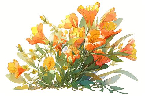 多彩的花朵插画插画图片下载 正版图片600761792 摄图网
