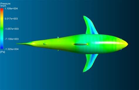 Hydrodynamic Analysis Of A Shark Using Cfd Simulation Cfd Simulations Fetchcfd