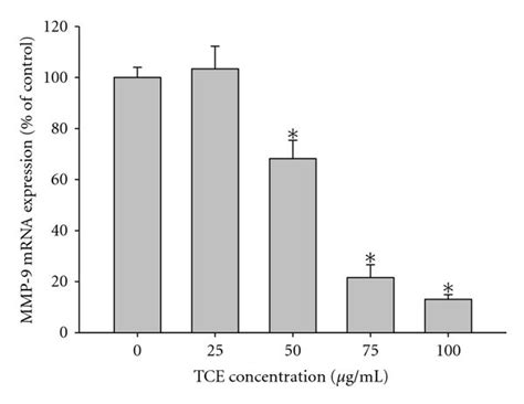 Tce Suppresses Mmp 9 Expression At A Transcriptional Level Huh7 Cells