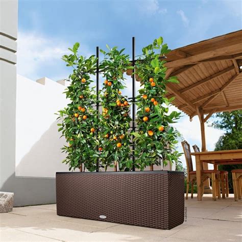 Planters Barrier And Screening Archives Ascend Plant Displays