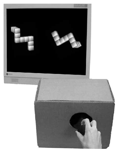 Figure 2 From The Dissociation Of Small And Large Scale Spatial