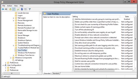Roaming Folder