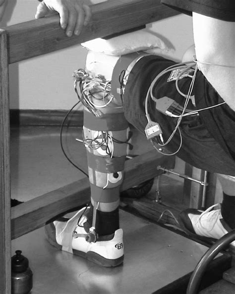 The Dynamometer Used For The Isometric Plantar Flexions The Download Scientific Diagram