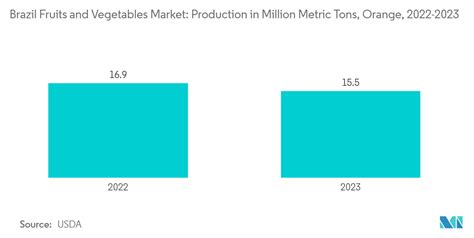 브라질 과일 및 채소 시장 규모 점유율 및 산업 분석