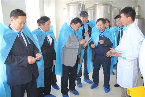 ДАРХАН УУЛ АЙМАГТ БИО ШИНГЭН БОРДОО ҮЙЛДВЭРЛЭЖ ЭХЭЛЛЭЭ