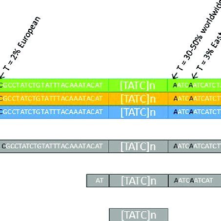 Publications Containing STR Sequence Population Data Download Scientific Diagram