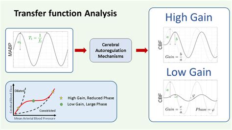 Schematic Representation Of Transfer Function Gain And Phase In The
